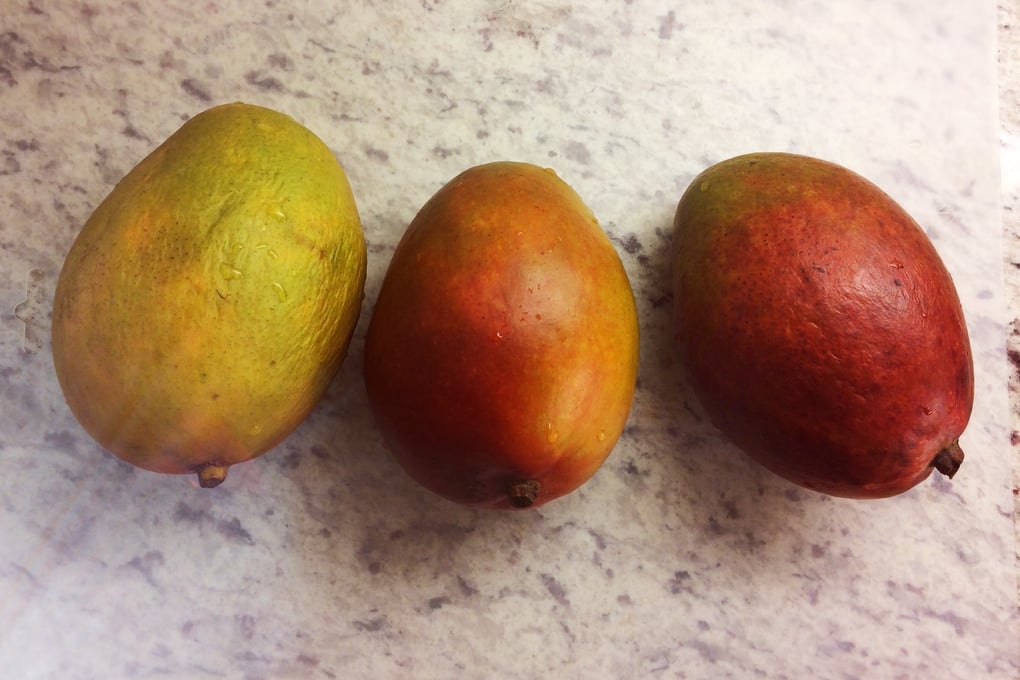 How to Make a DIY Mango Bouquet for Someone Special