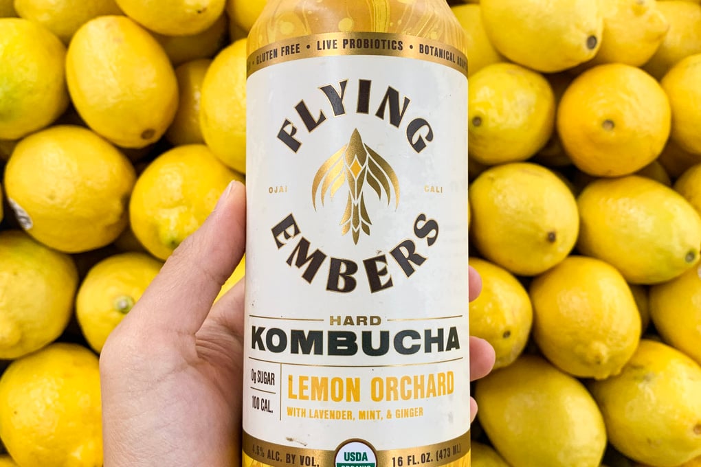 Let's Talk About Hard Kombucha and Which Brew Is Right for You