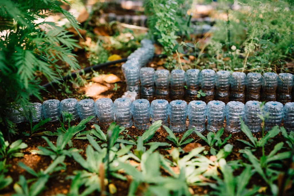 Chipotle Supports U.S. Farming Industry With Accelerator’s New Farmer ...