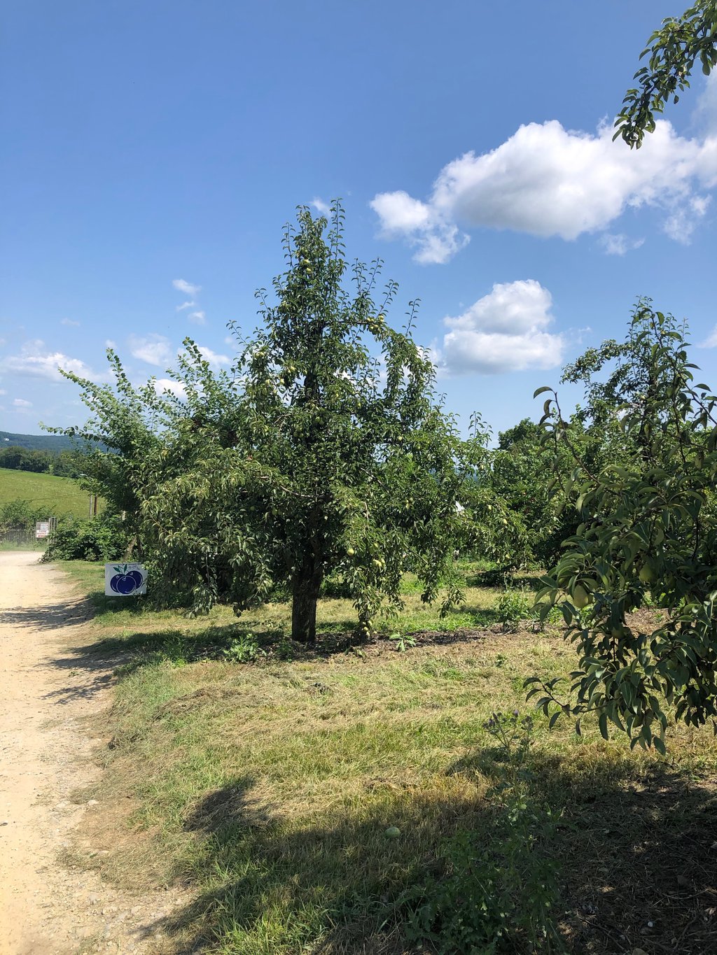 Take a Trip to Nature's Grocery Store: A Farm to Table Experience
