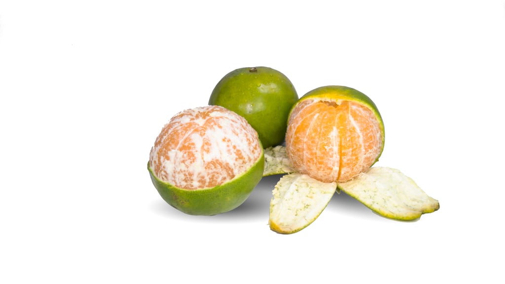 A Guide To Citrus Season