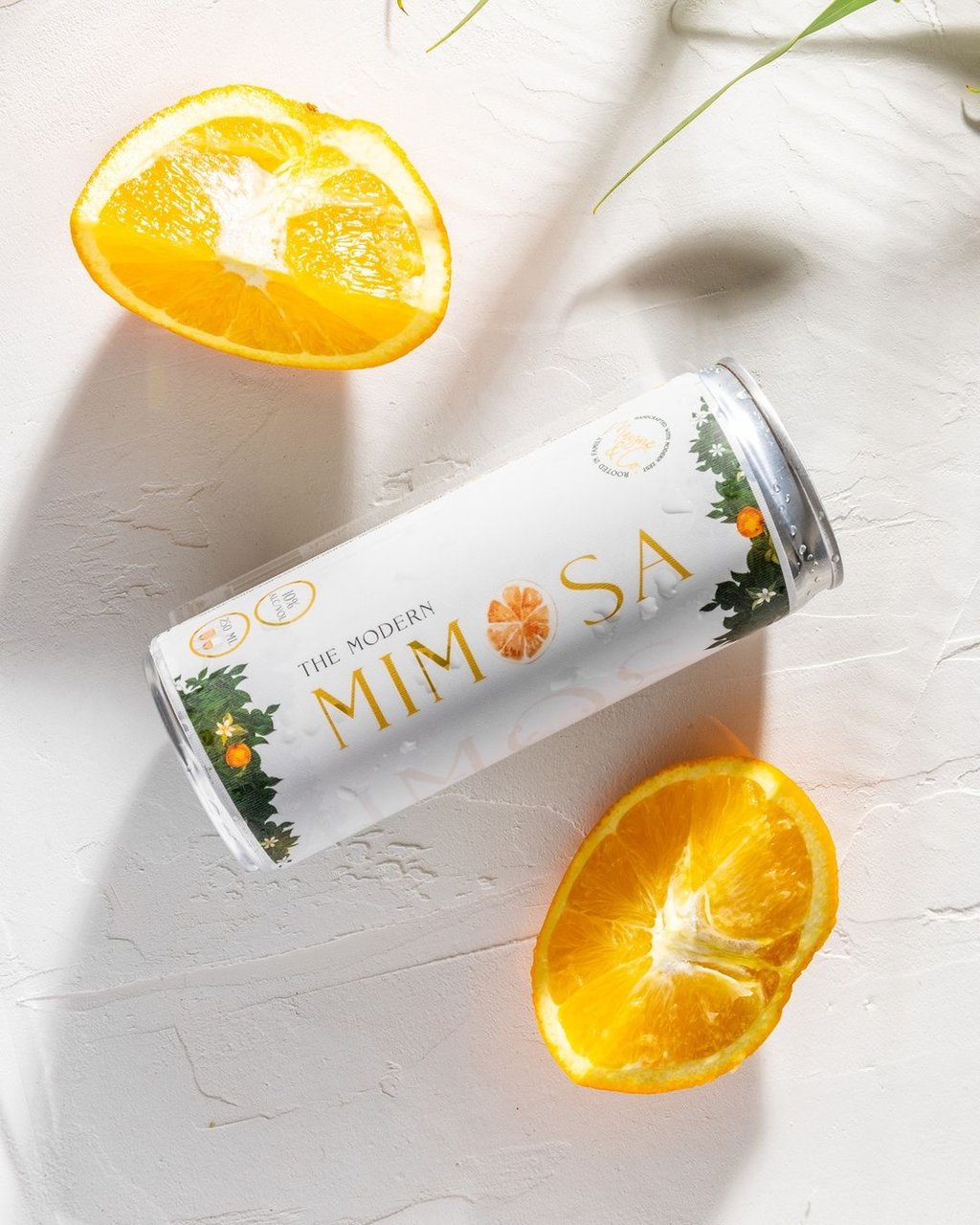 The Best Canned Cocktails To Enjoy All Summer Long