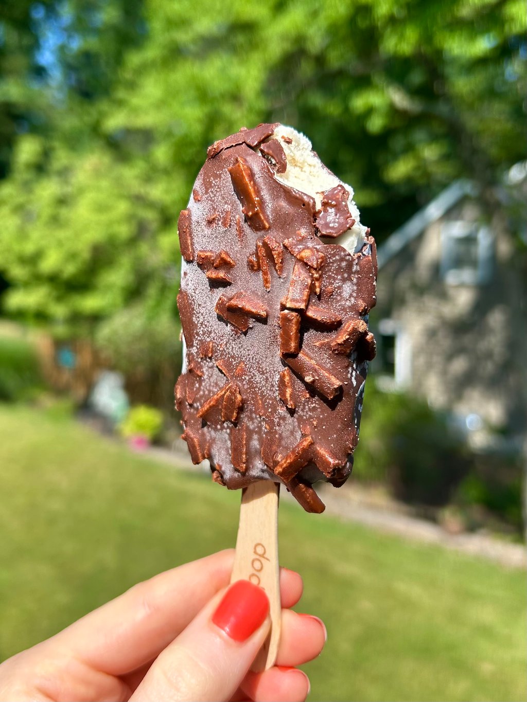 I Tried French Fry Ice Cream Pops And They Surprised Me