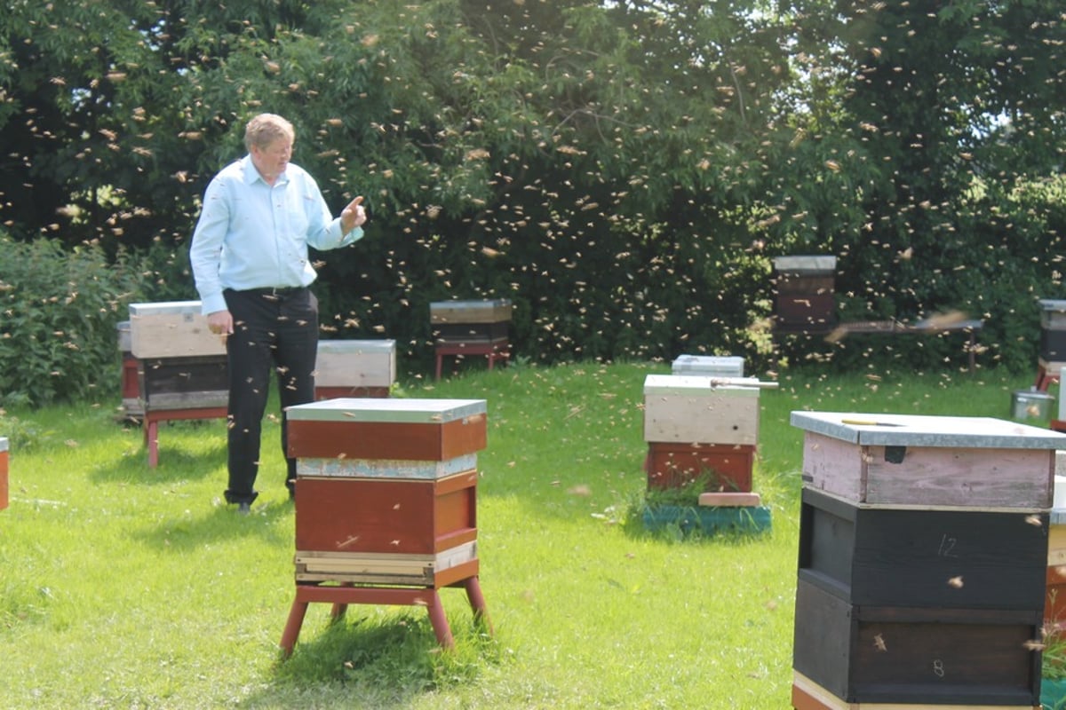 Why You Should Support Your Local Beekeepers.