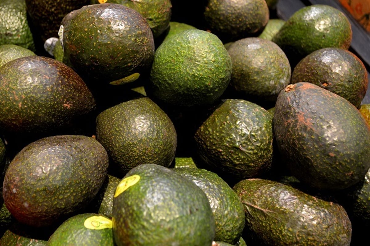 What To Do With Your Avocado After It's Gone Brown