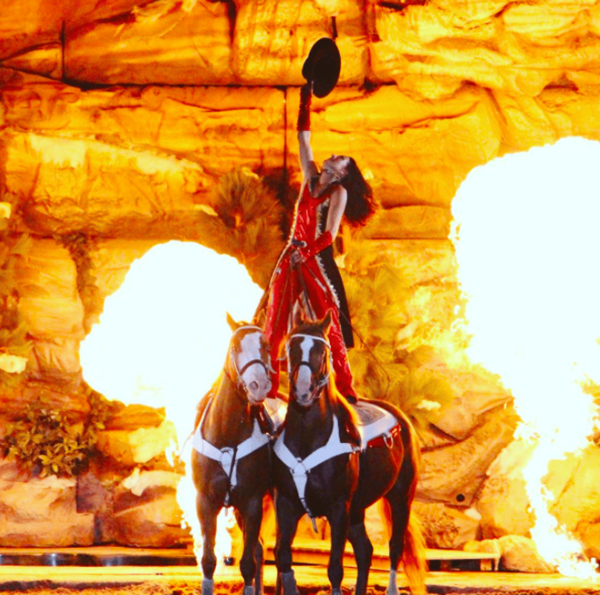 5 Reasons You Should Visit the Dixie Stampede
