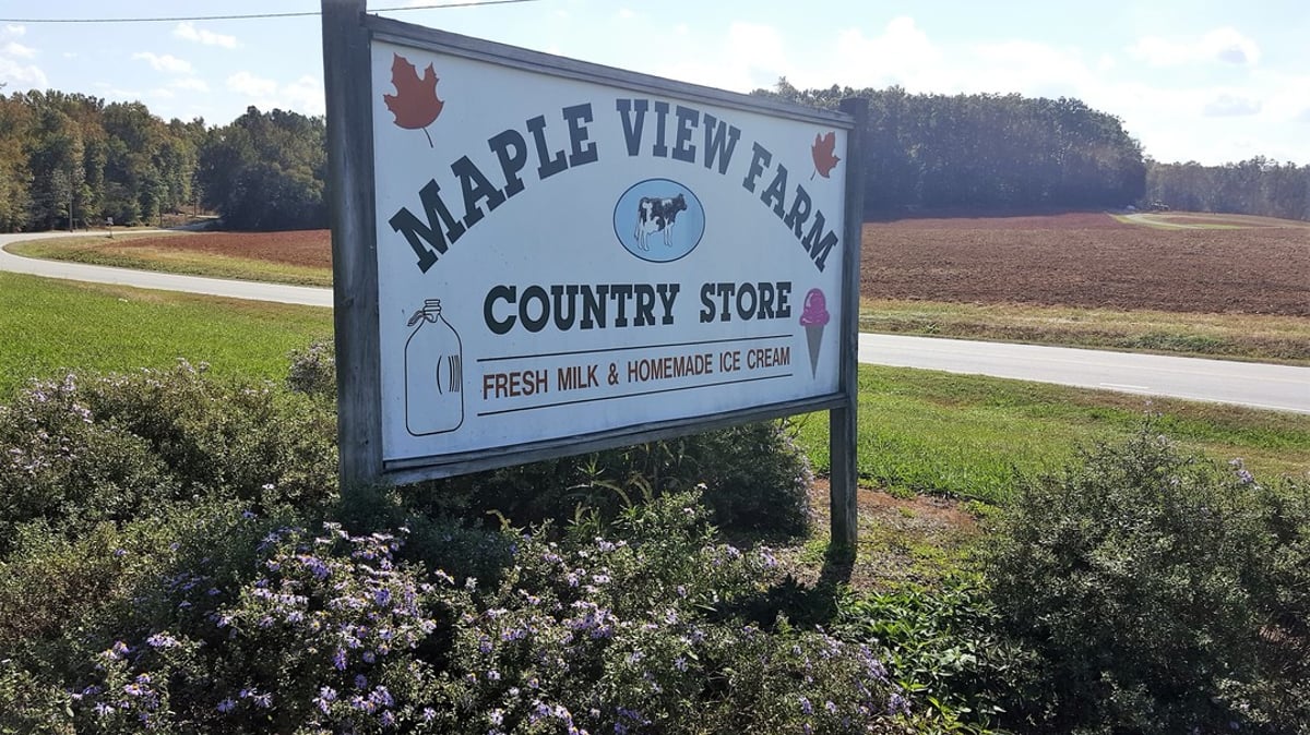 A Definitive Ranking of Maple View Ice Cream's Fall Flavors