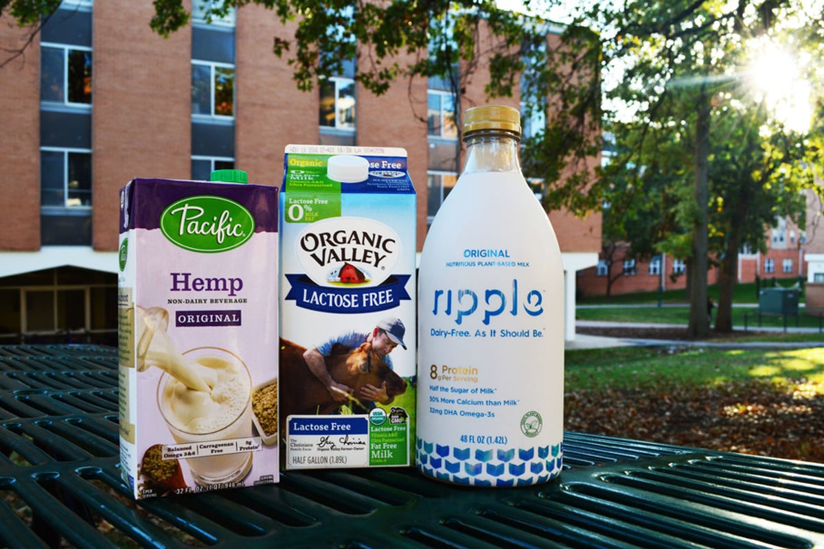 A Quick and Dirty Guide to Common and Popular Milk Alternatives