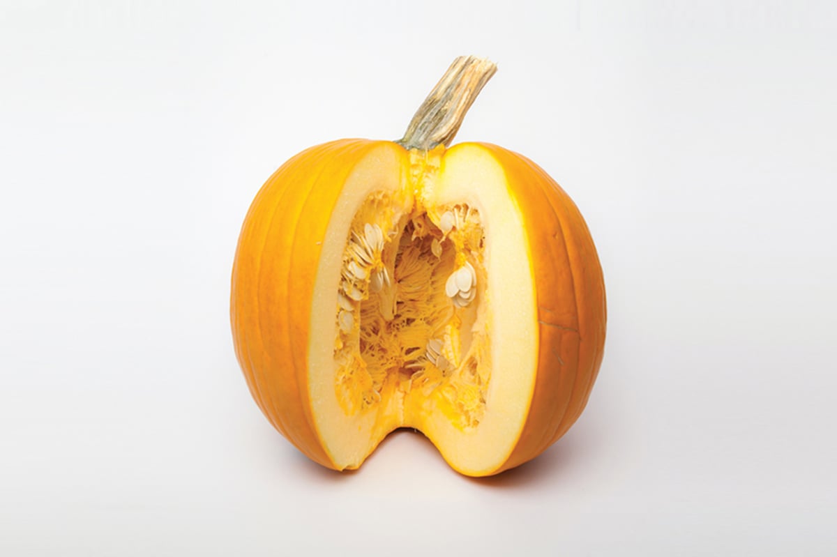 Pumpkin 101