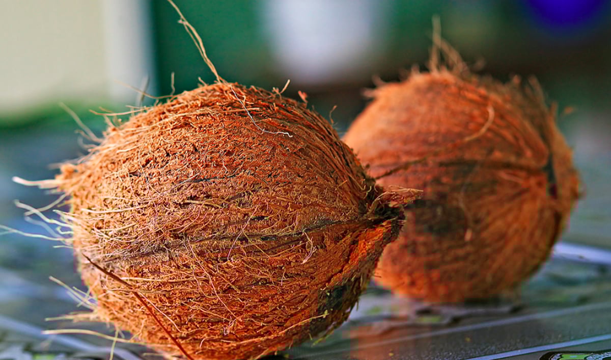 Emily Fluet | Spoon University