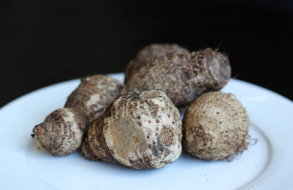 taro root vegetable