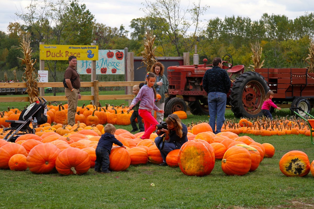 A Brief History of the Jack-O-Lantern