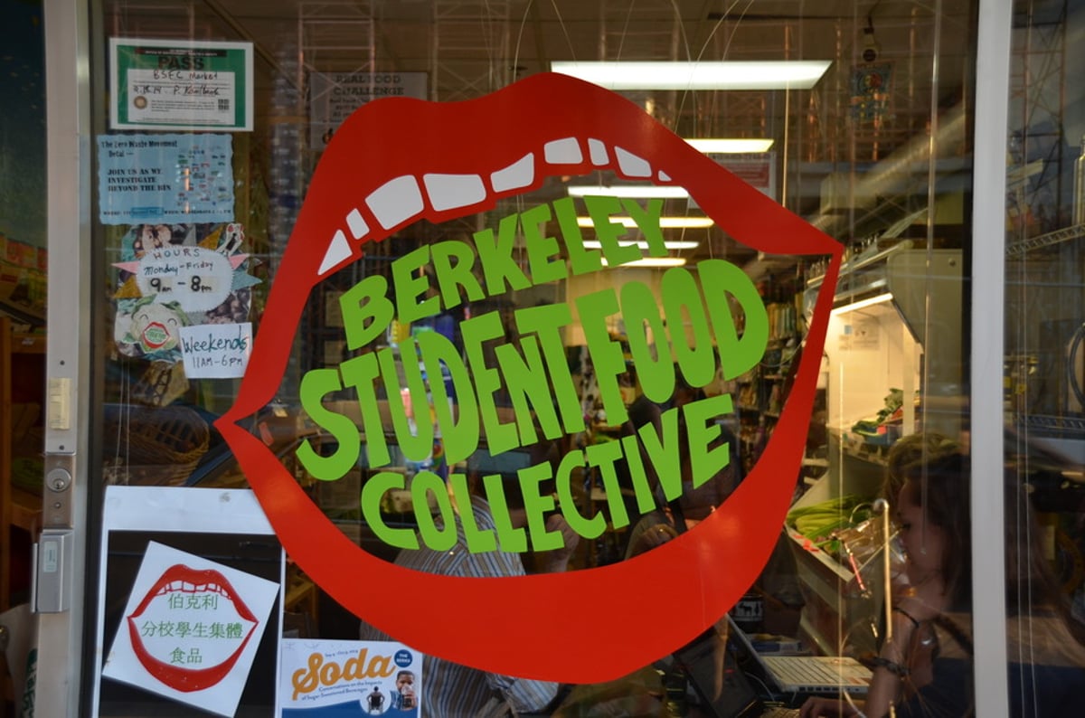 What the Berkeley Student Food Collective Is About