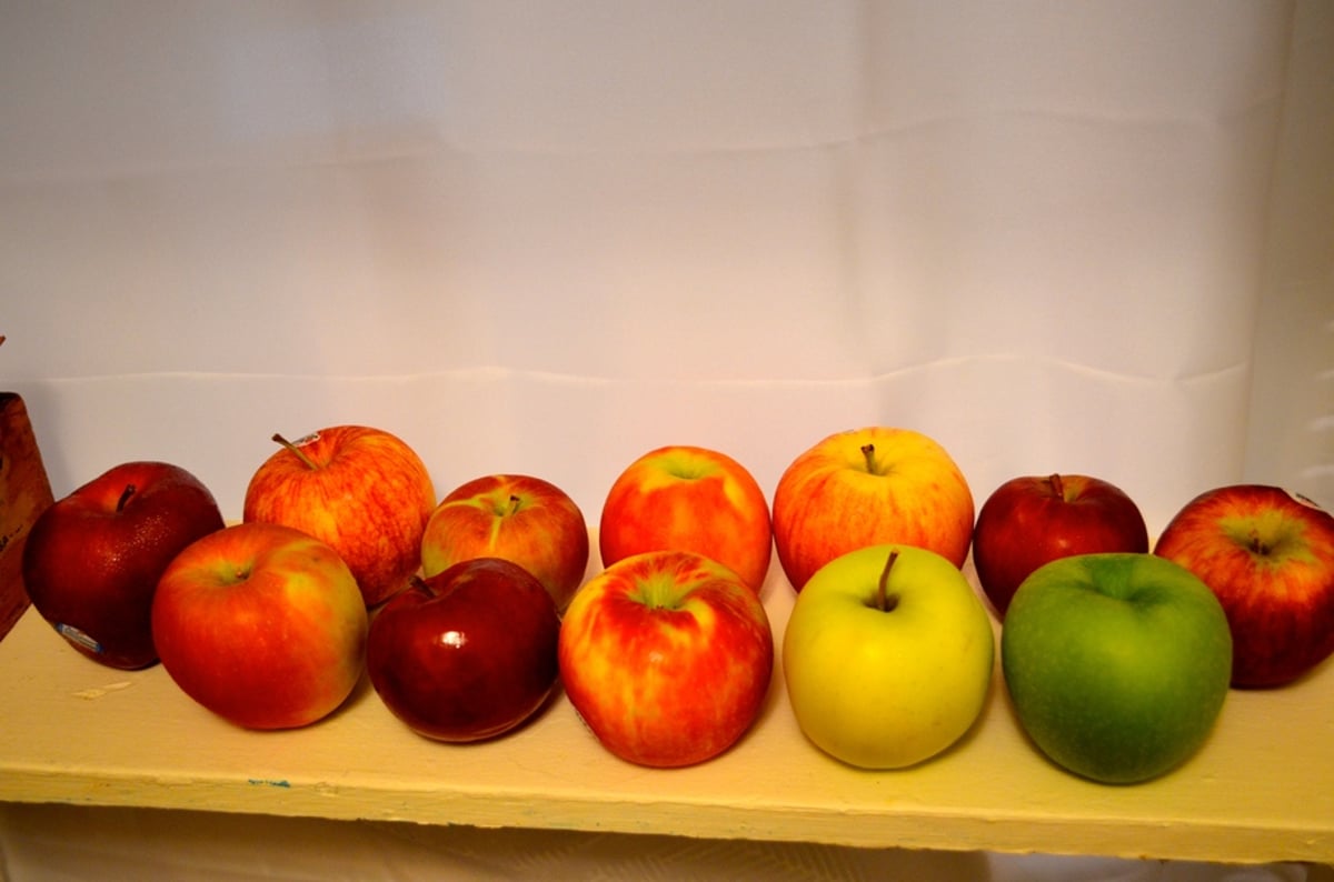 A Necessary Guide To Apples