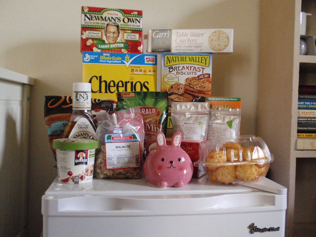 A Rookie's Guide to Setting up a Mini Fridge