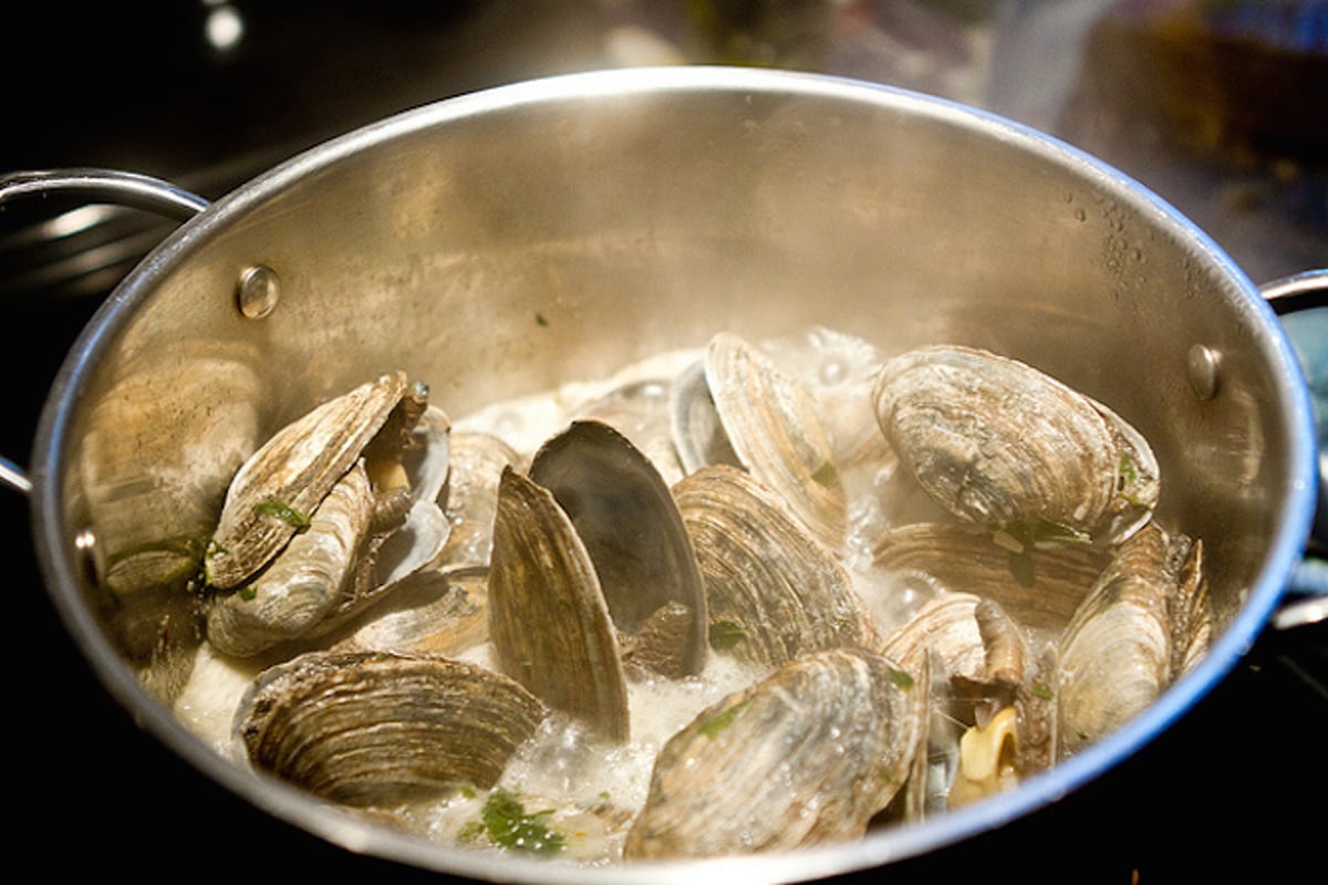 A Scientific Breakdown of the Viral Clam Licking Salt Video