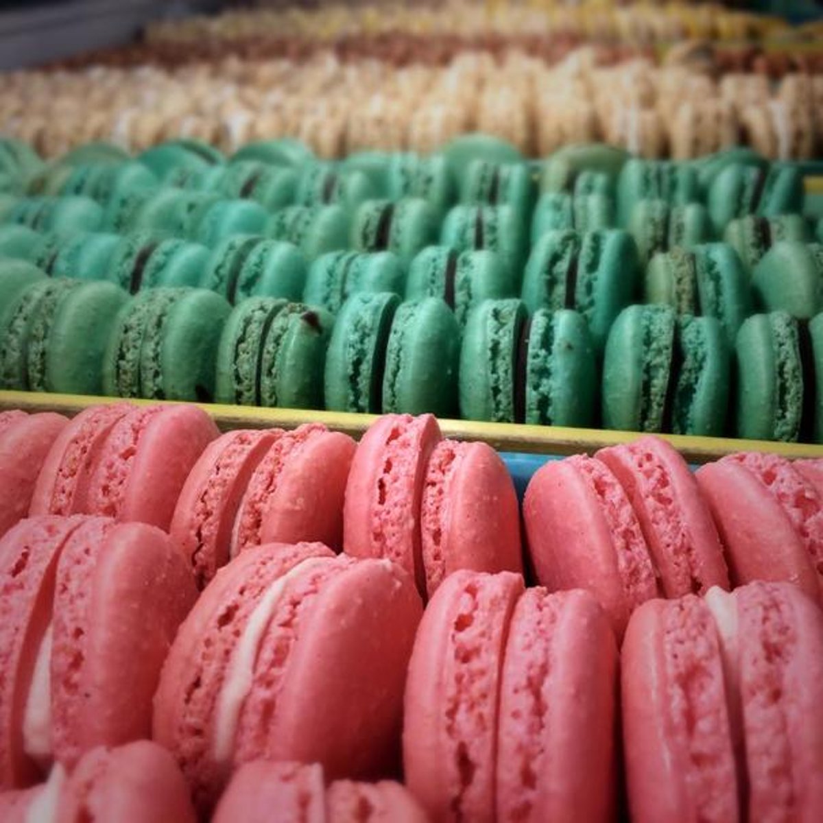 Good Seed Baking Company Offering Free Macarons