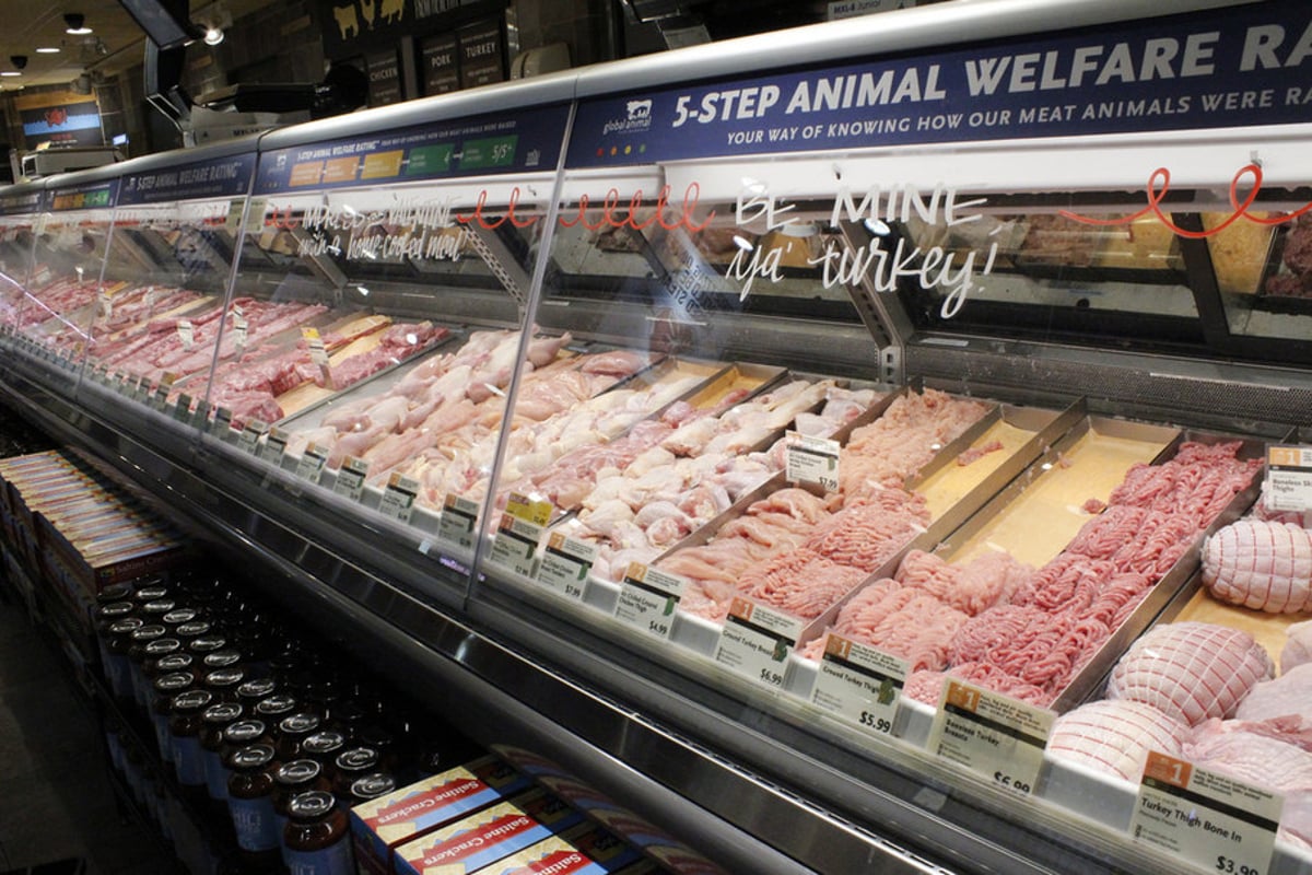 Guide to Storing Meat