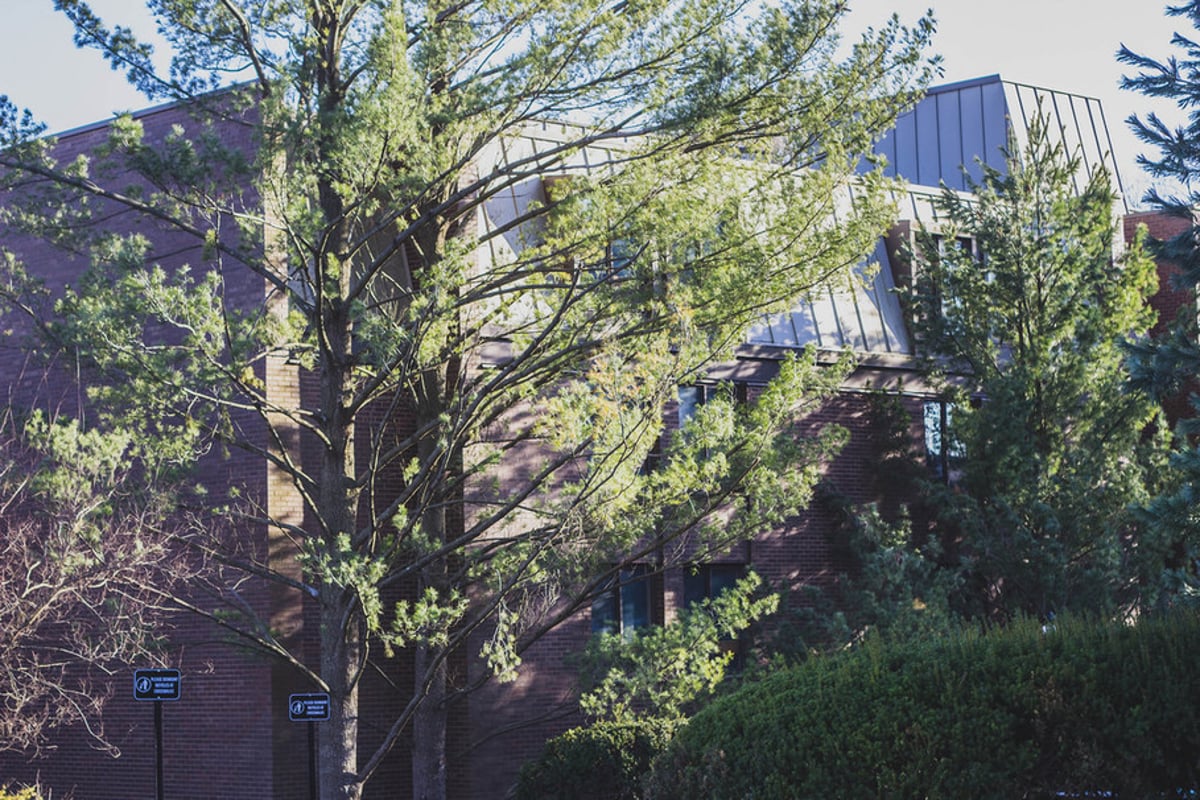 New Arts Neighborhood Plans Move Wawa - Spoon University at Princeton