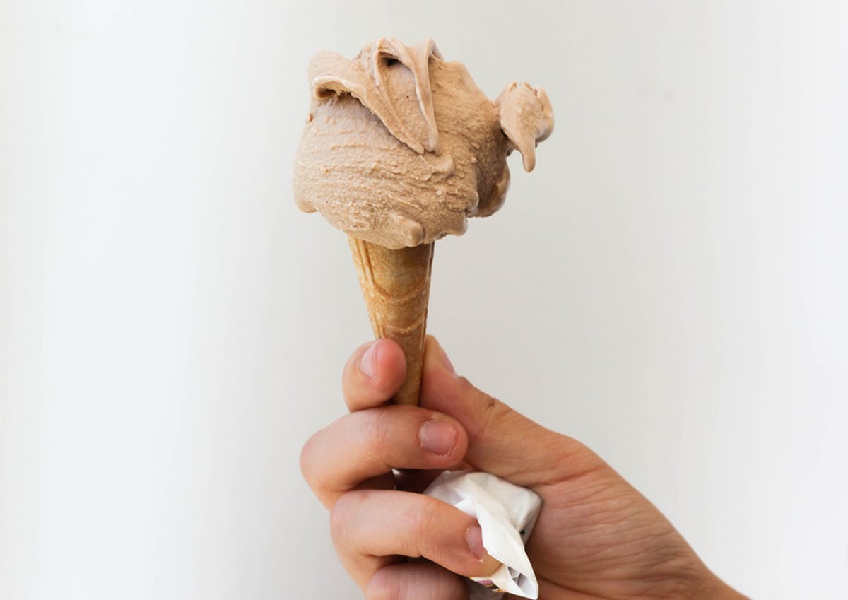 Teo Headed to Gelato World Tour’s Grand Final in Italy