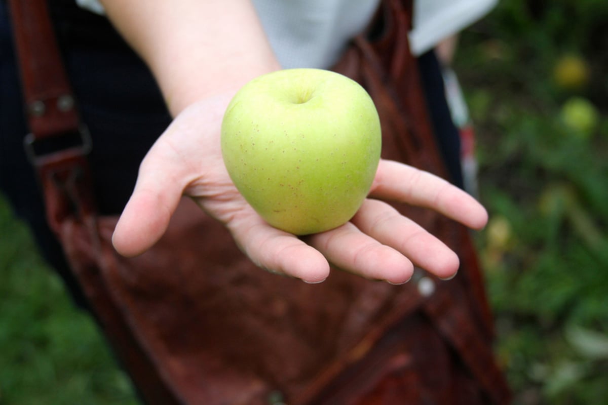 5 Midwest Apple Orchards to Visit This Fall