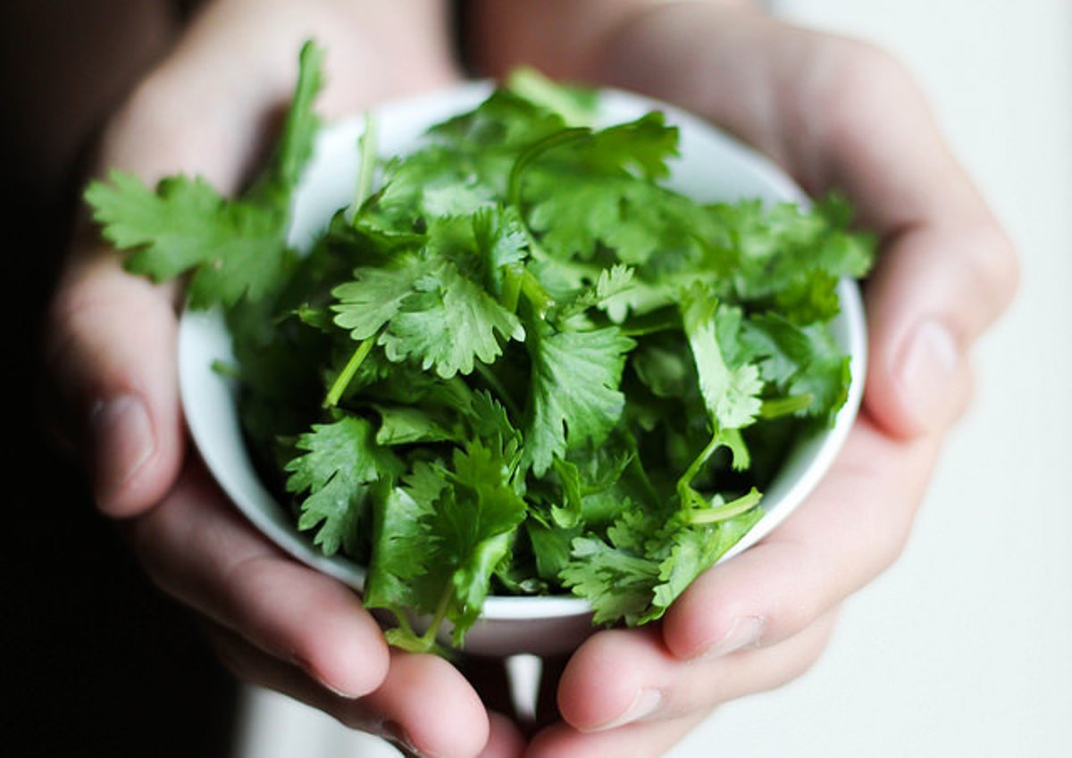 5 Unique Ways to Use Cilantro