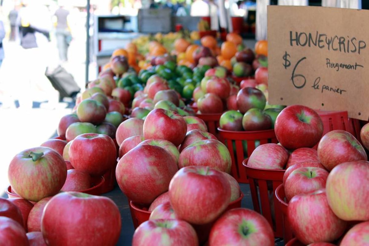 9 Reasons to Visit Montreal's Marché Jean-Talon