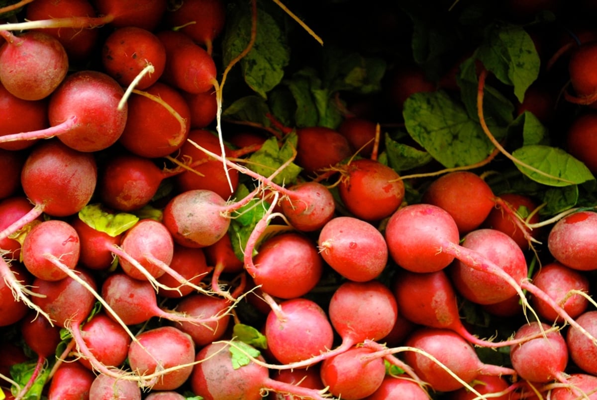 Mistletoe Munchies: 5 Foods for Better Breath