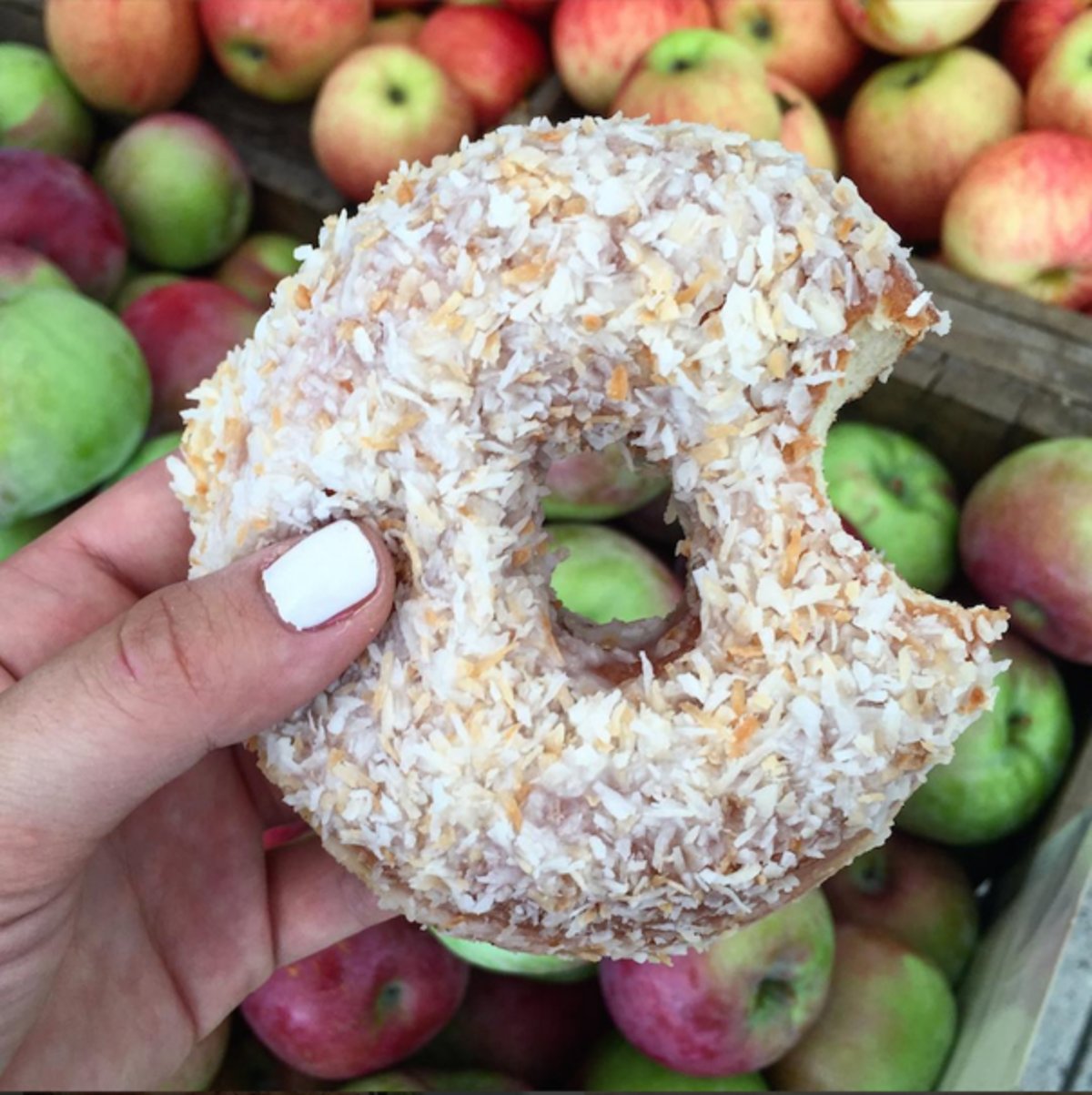 How a Harvard Sophomore Created a Famous Food Instagram