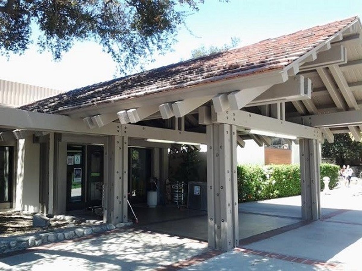 A Comprehensive Guide to Collins Snack