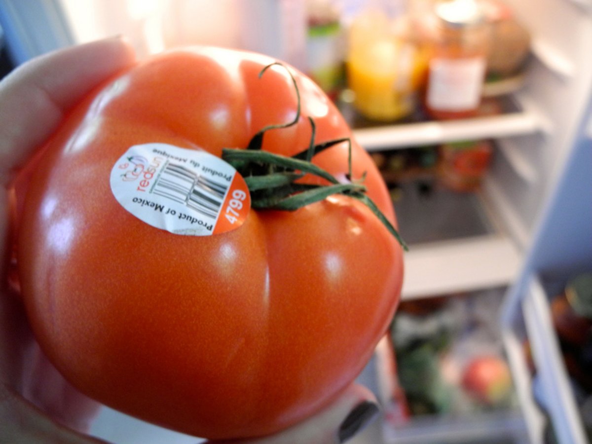 How to Store Food Properly