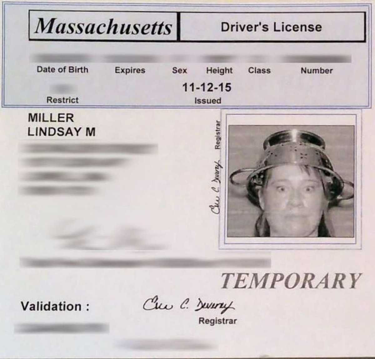 A Woman Wore a Colander in Her Driver's License Photo