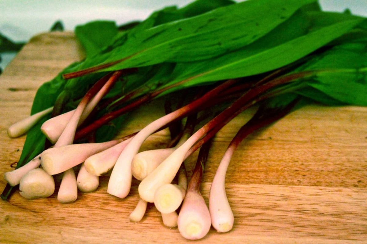 Taste Trendspotting: Ramps