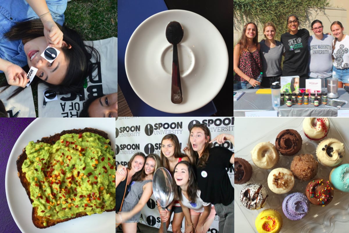 Spoon University's 2015 Year in Review