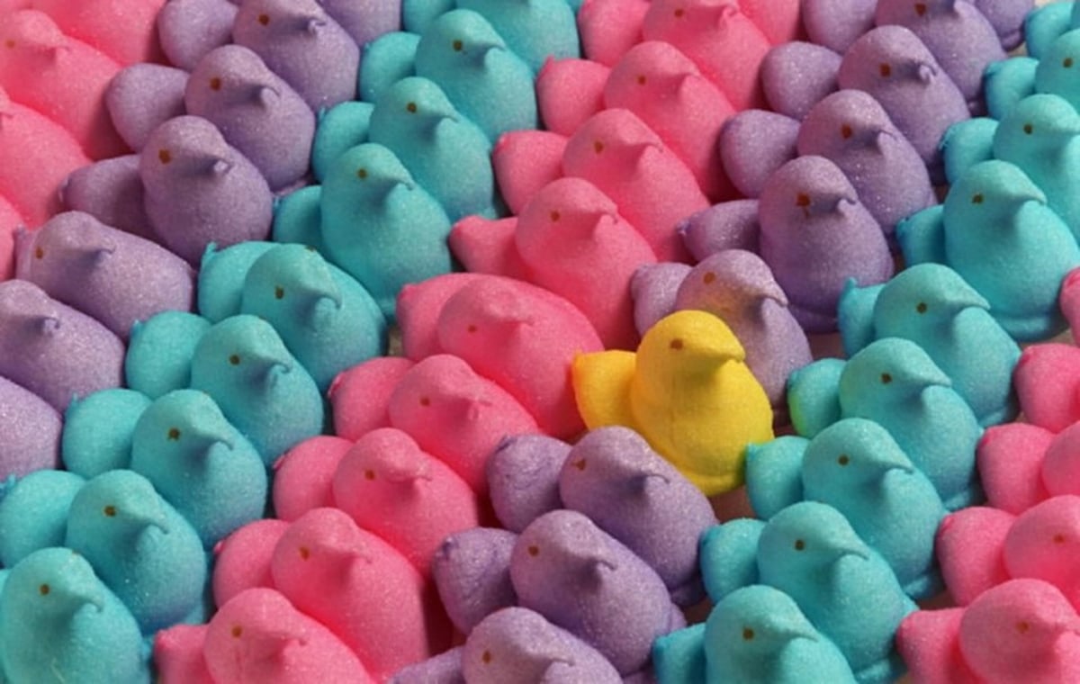 What Color Peep Are You Based on Your Personality?