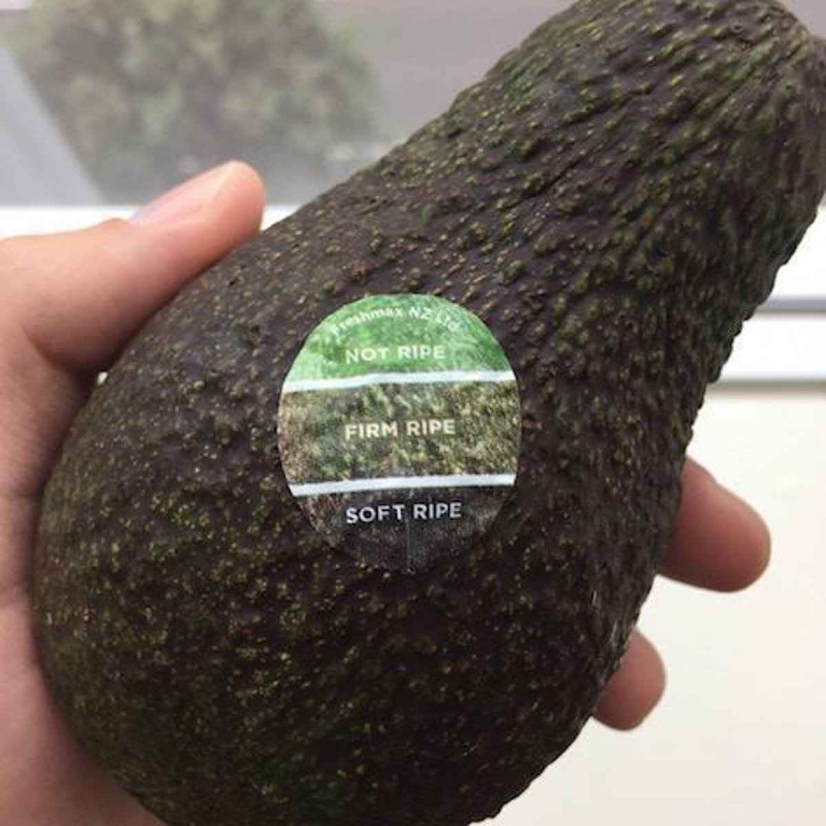 This Genius Avocado Sticker Is Going Viral