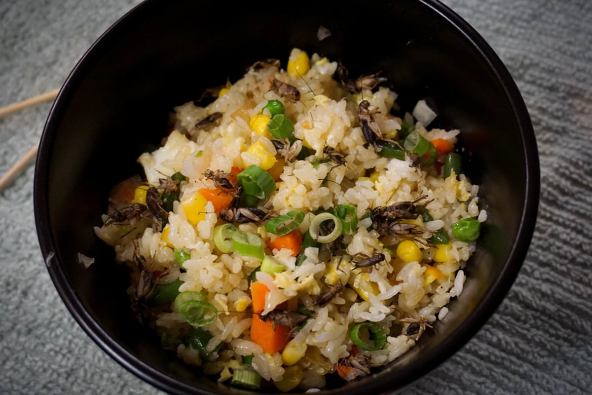 How to Host a Cricket Fried Rice Party