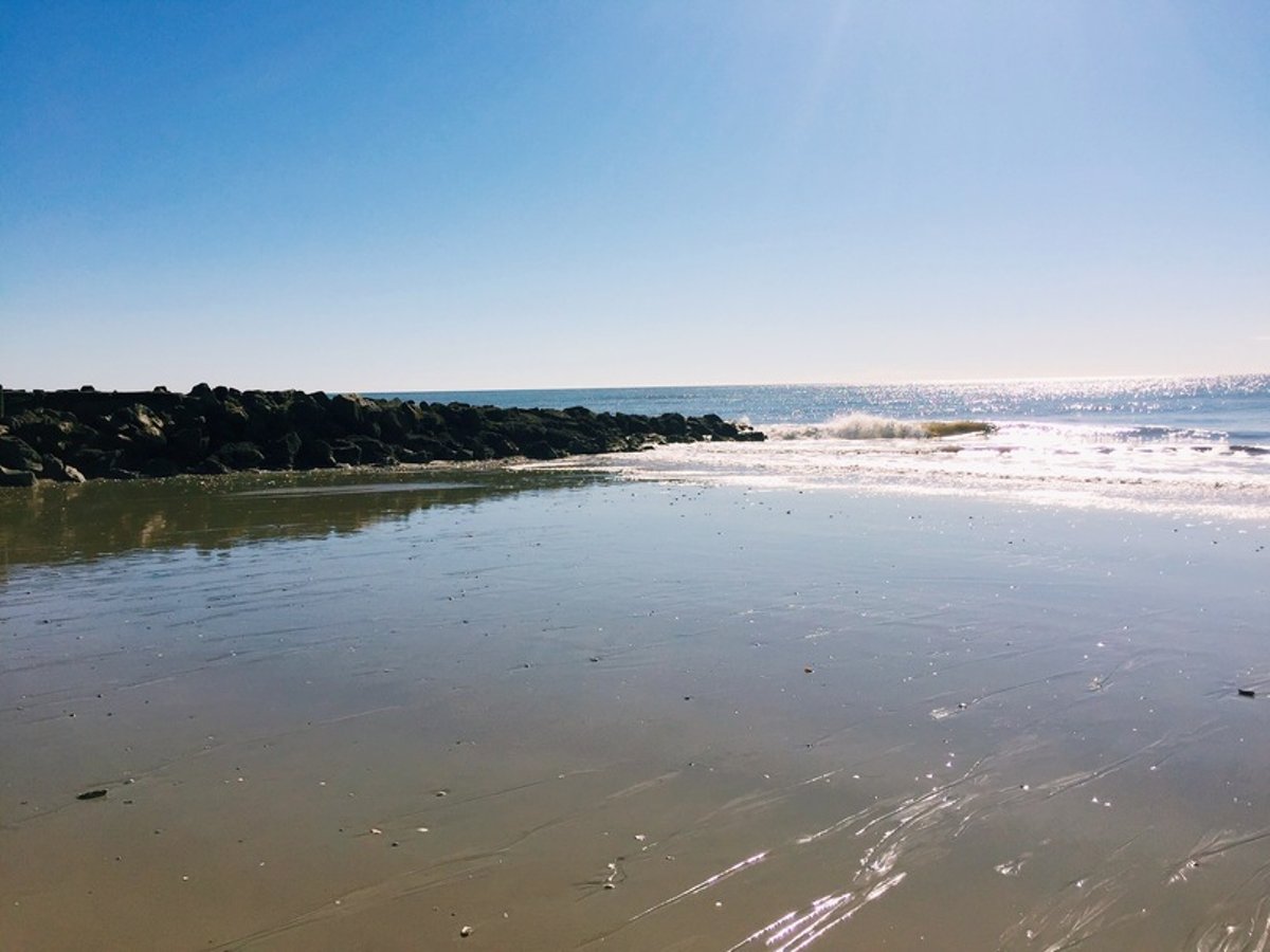 11 Best Snacks to Eat at the Beach