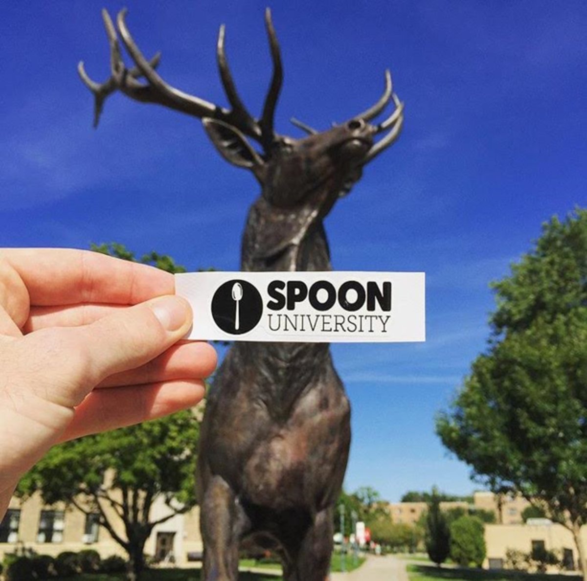6 Reasons You Should Come to Spoon Fairfield’s Launch Party