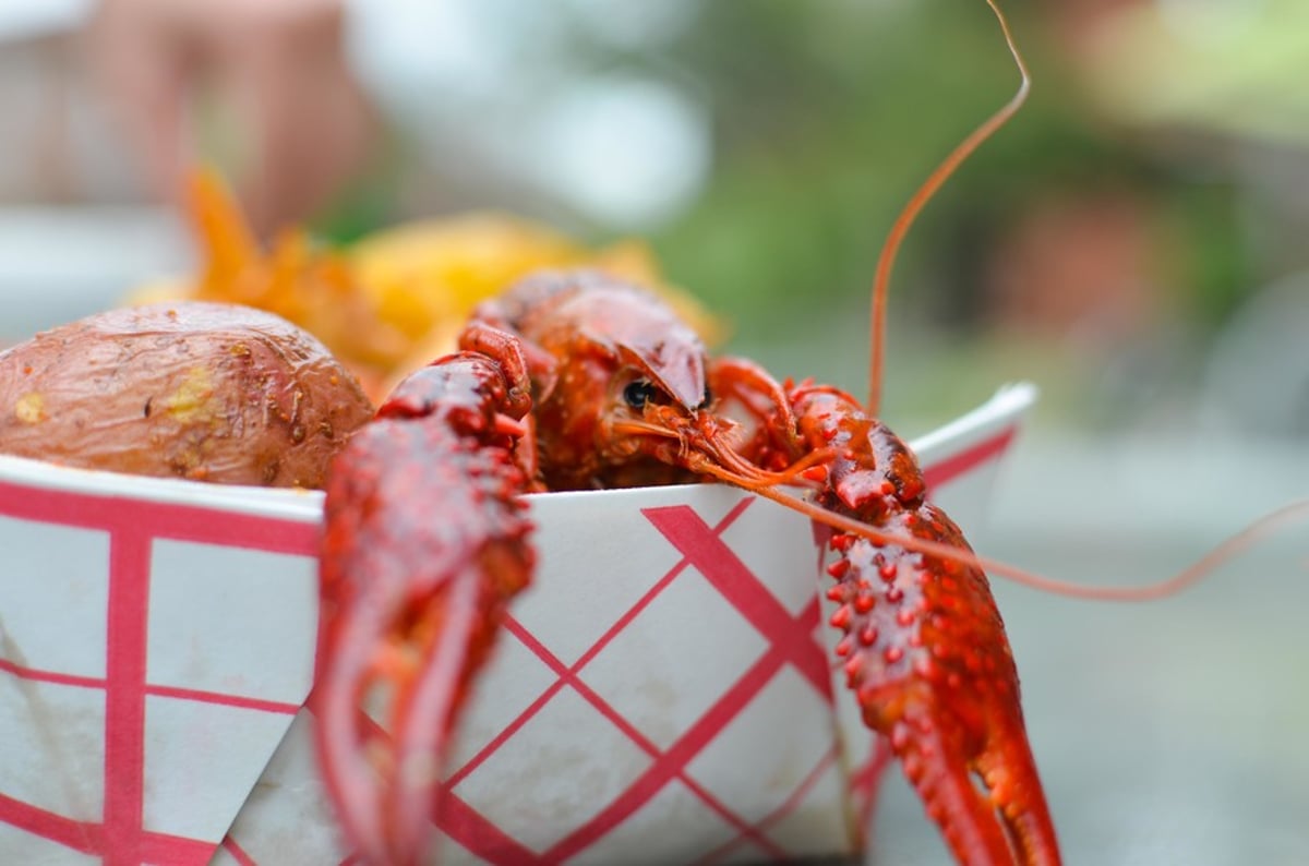 The Beginner’s Guide to Picking and Preparing Crawfish
