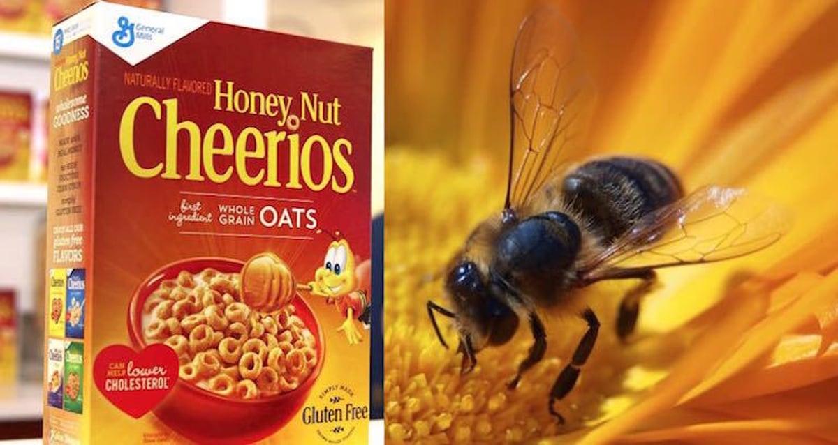 How Honey Nut Cheerios are Helping Bees and Other Pollinators