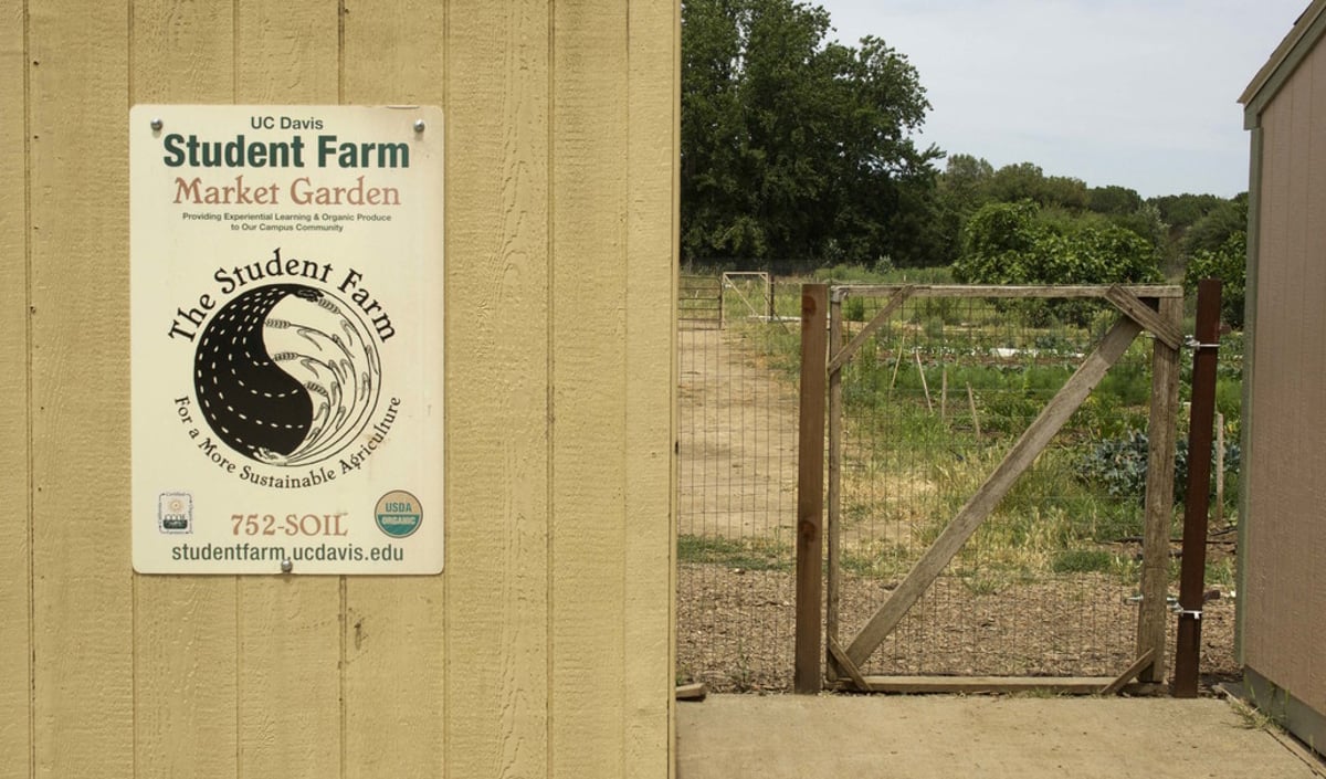 UC Davis Student Farm