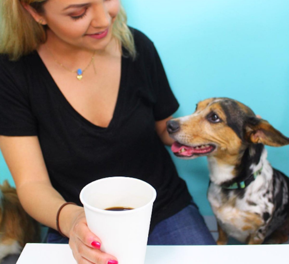 The First Ever Dog Cafe Is Officially Open, and We’re Pumped
