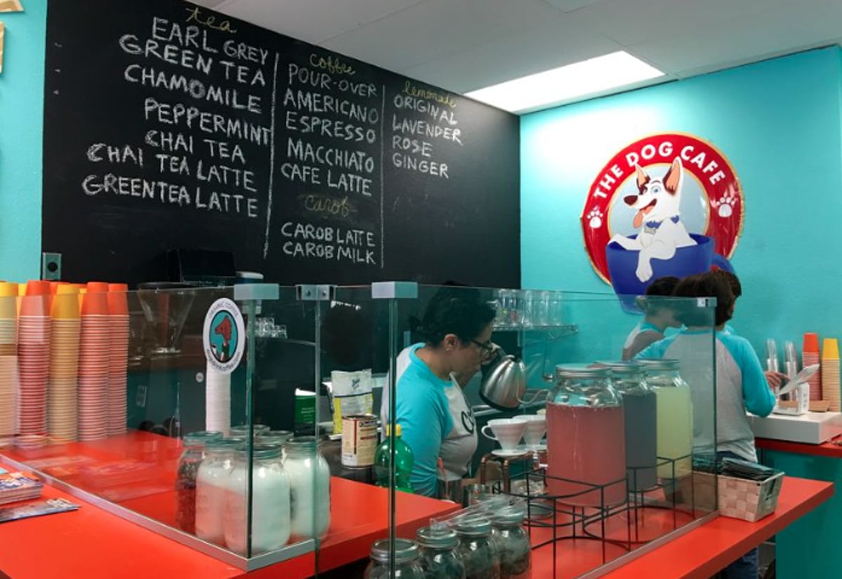 These 8 Cafes Let You Dine in the Company of Cute Animals