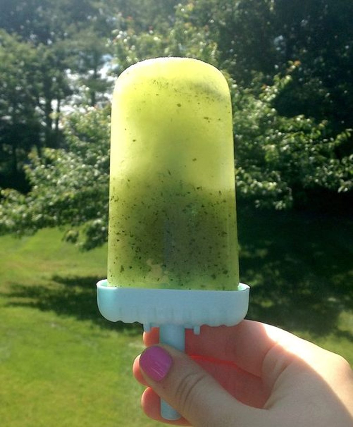 These Cucumber Mint Popsicles Are The Perfect Poolside Treat