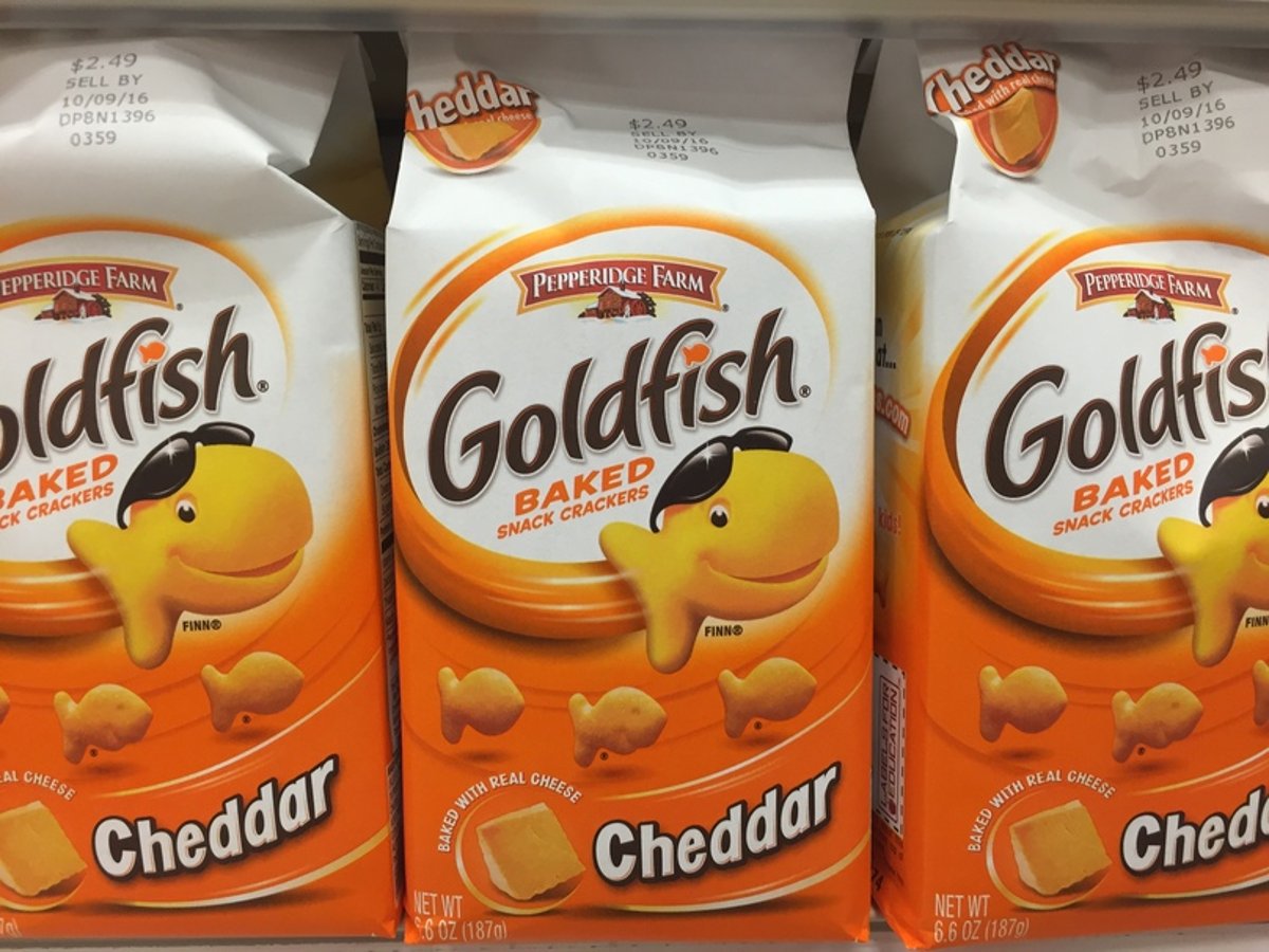 7 Things You Never Knew About Goldfish