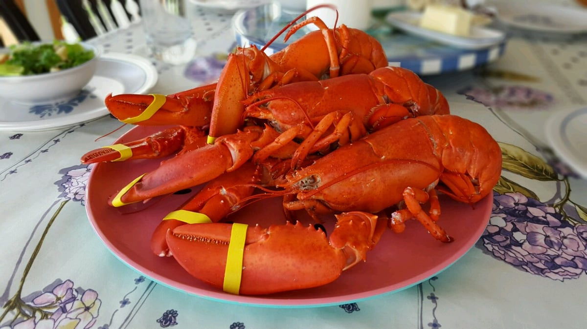 red stuff inside lobster