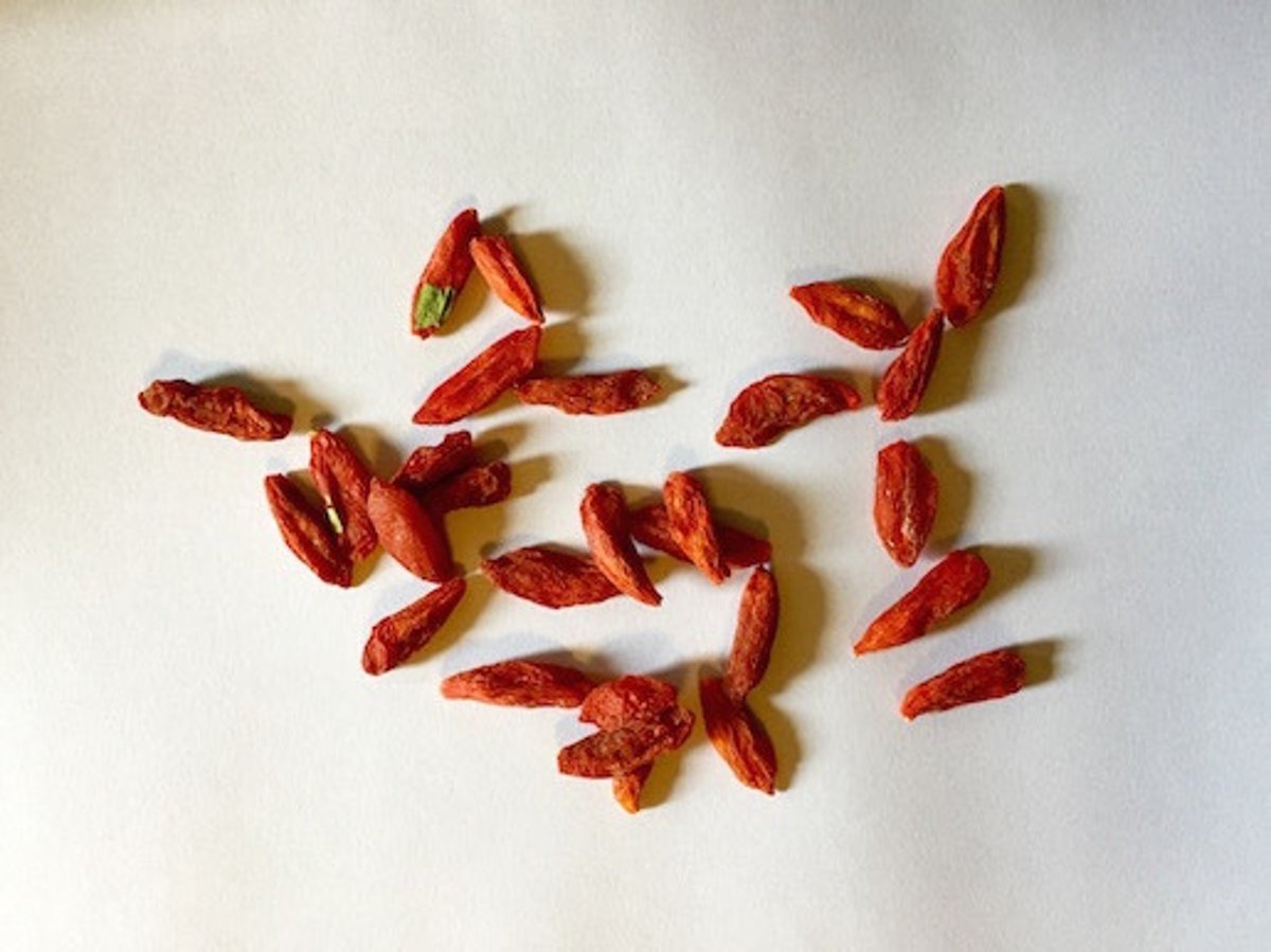 9 Reasons Why Goji Berries are the Next Hot Superfood