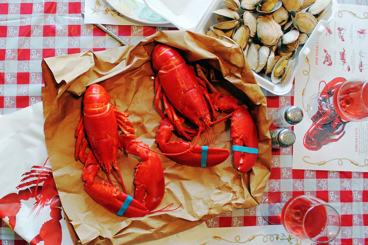 Why You Need to Go to Beach Plum Lobster Farm in Maine