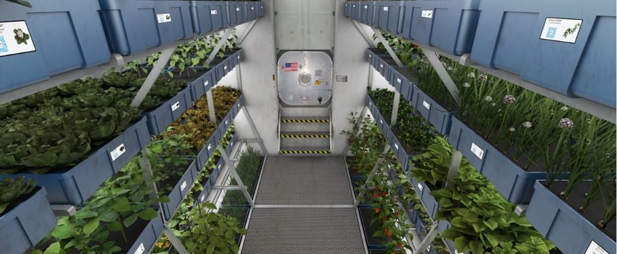 NASA Has Successfully Grown the First Space Garden